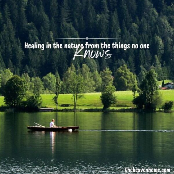 300+ Nature life quotes with images - theheavenhome.com