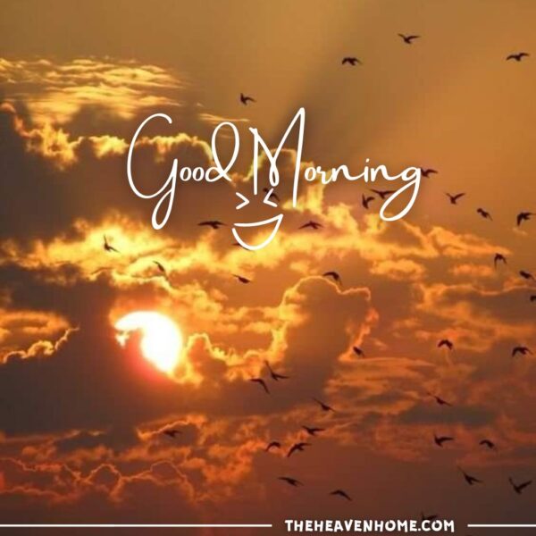 99+ Stunning Good Morning Images and Quotes for You