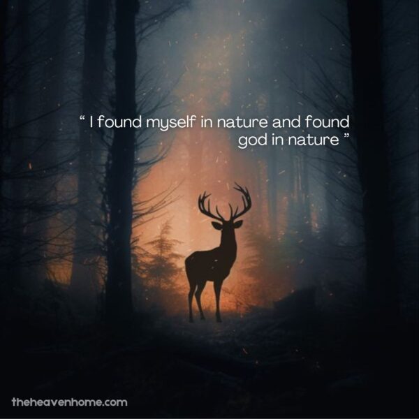 300+ Nature life quotes with images - theheavenhome.com