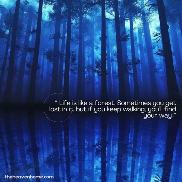 300+ Nature life quotes with images - theheavenhome.com