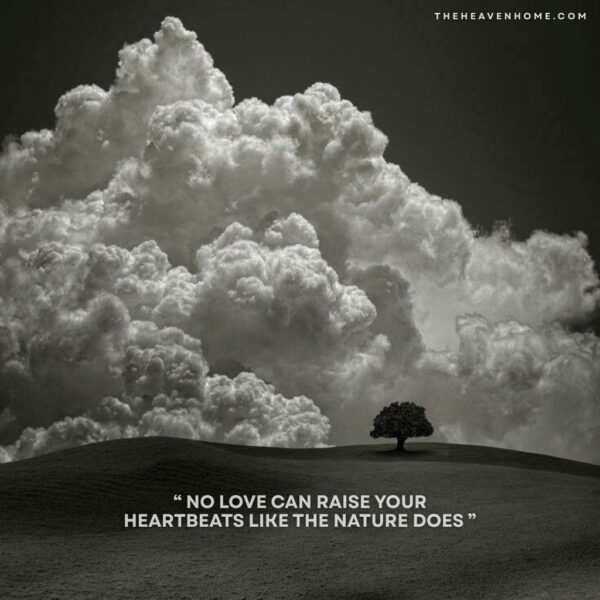 300+ Nature life quotes with images - theheavenhome.com