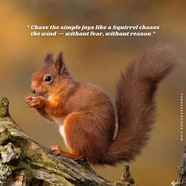 300+ Nature life quotes with images - theheavenhome.com