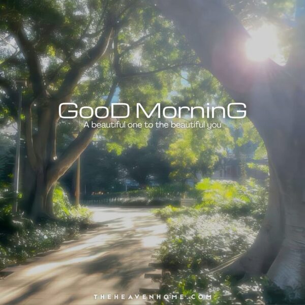 99+ Stunning Good Morning Images and Quotes for You