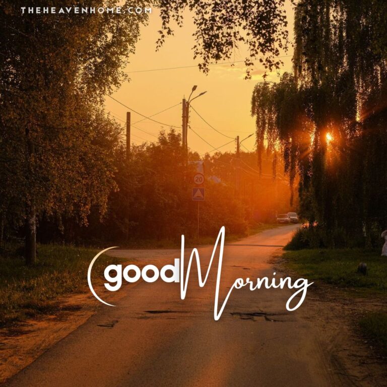 99+ Stunning Good Morning Images and Quotes for You